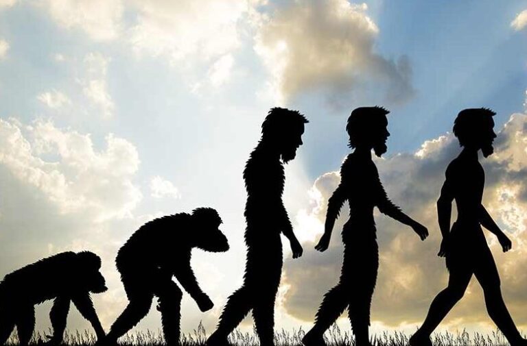 Que Significa Primitiva